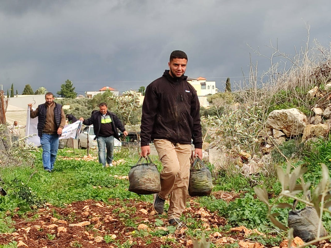 Impact – All Things Palestine